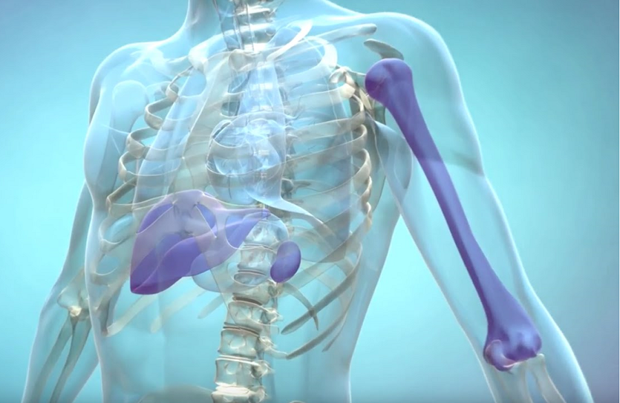 FarmaGold - Zavesca: medicamento indicado pela EMA para tratamento de ...